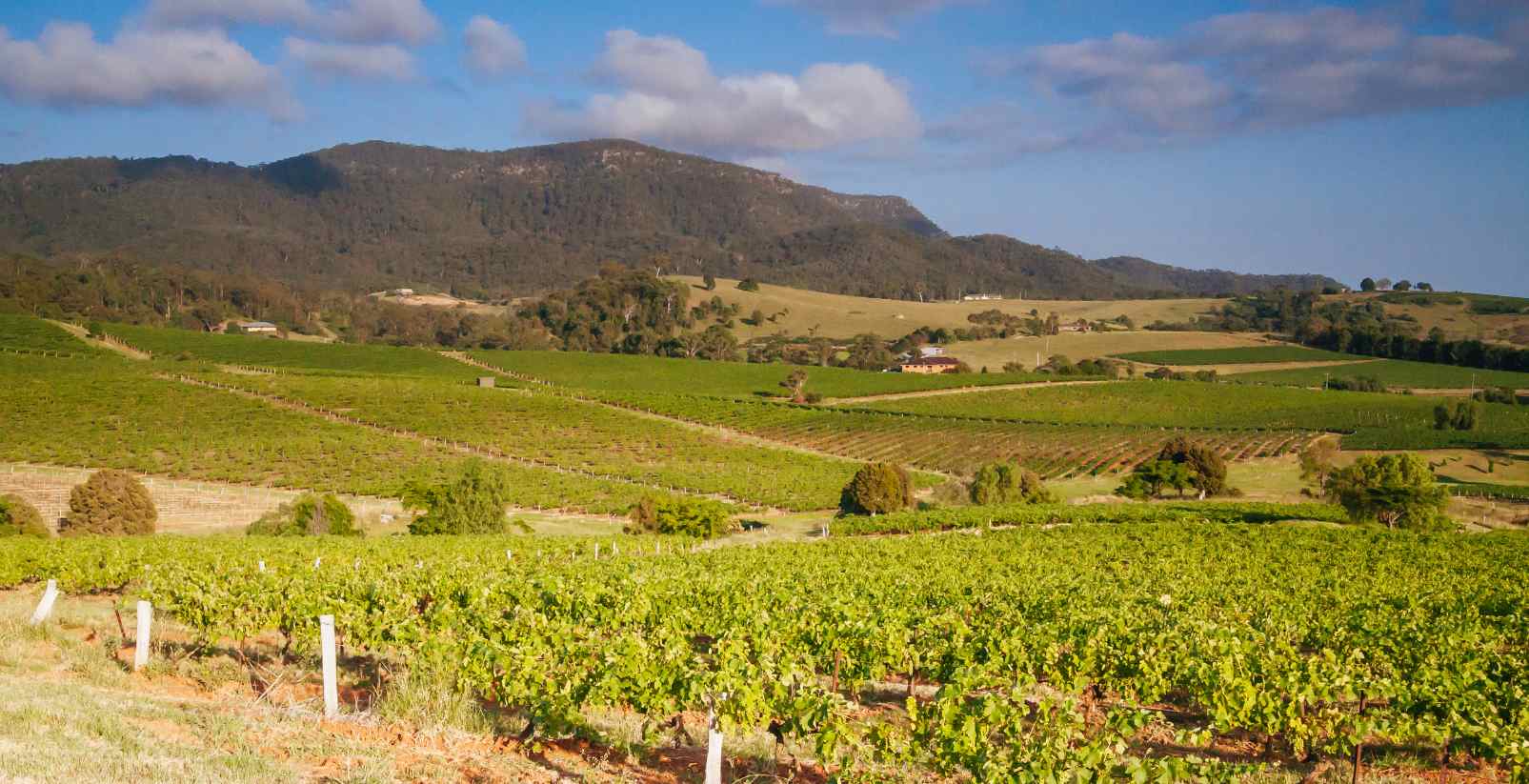 Hunter Valley Gallery